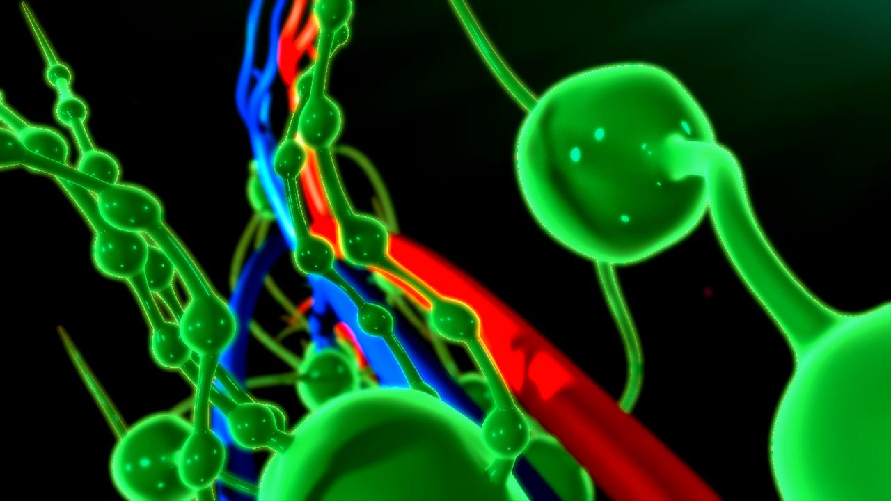 Lymph Node Biopsy Sentinel Lymph Node Biopsy For Melanoma And Surgical